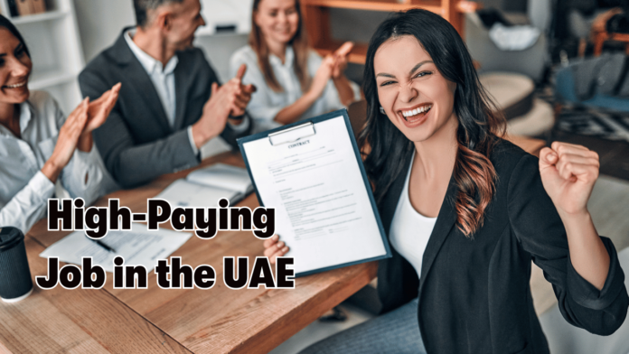 Top 10 Highest Paying Jobs In UAE 2024: Salaries Revealed